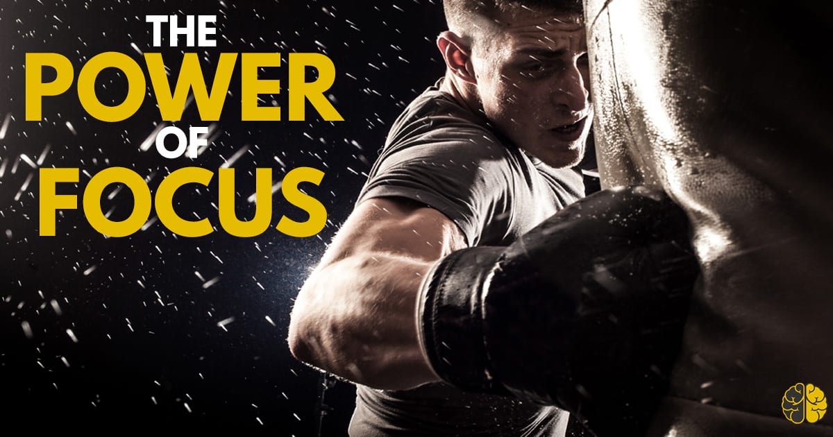 The Power of Focus - Two-Brain Business